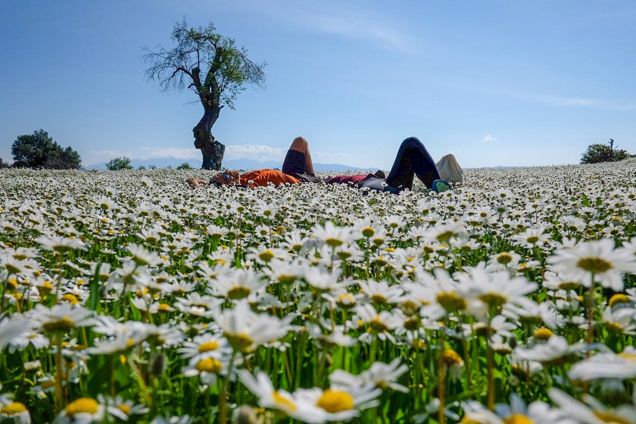 Things to do in Turkey in Springtime - Roots Adventure Travel